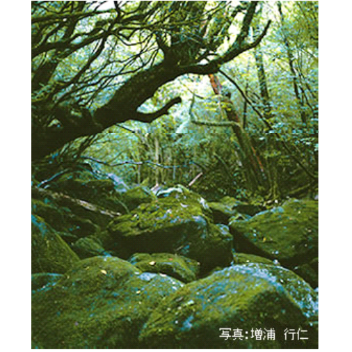 PALTEK | 企業情報 | イプロス