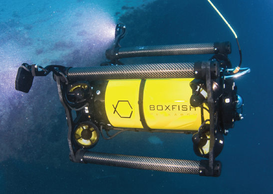 Boxfish ROV 300/600/1000 コスモス商事 | イプロス