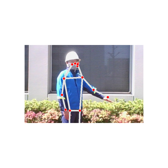 【Security Purpose】Person and Skeleton Detection AIJO Site Monitor ...