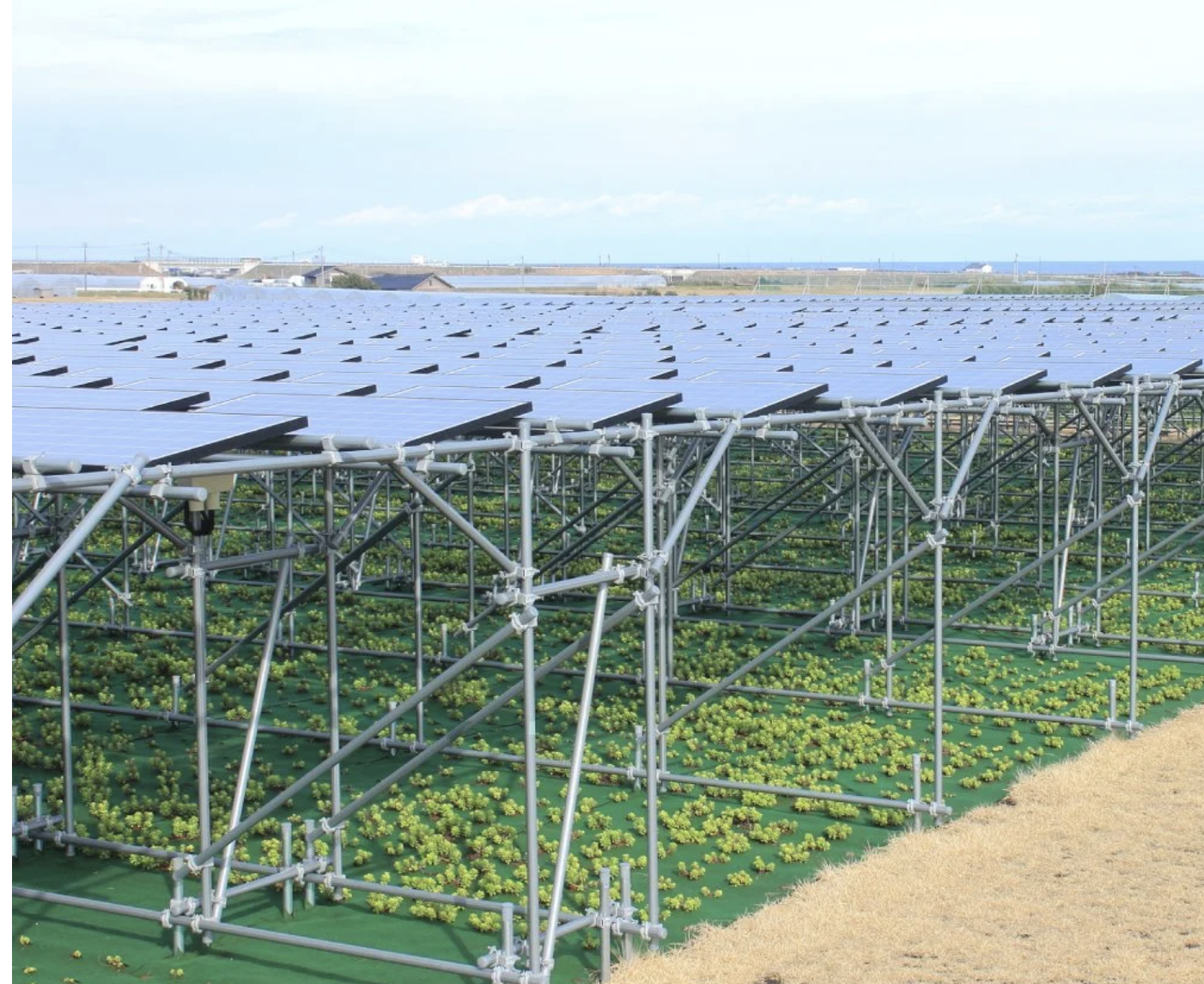 Energy-saving reform on-site with industrial self-consumption solar ...