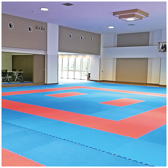 WKF Certified Karate Mat MT-5401 都村製作所 | IPROS